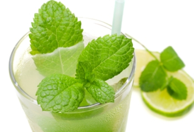 La guía definitiva para tomar Bacacho - Sopitas.com