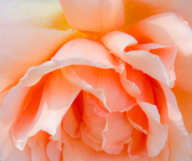 19 extraños colores que tal vez no conocían - Sopitas.com