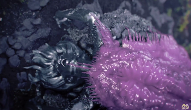 Ve "Family", el nuevo y hermoso video que Björk nos comparte - Sopitas.com