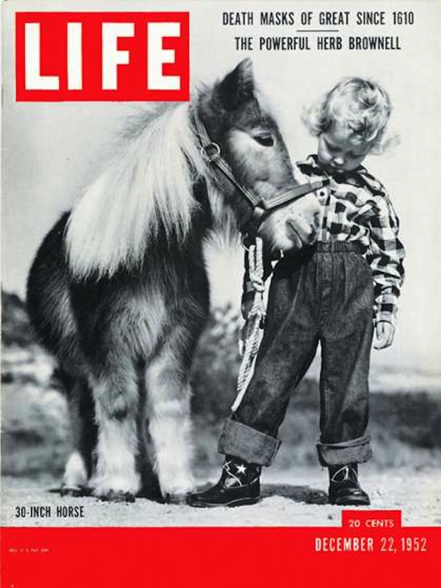 Las mejores portadas con animales de la revista LIFE - Sopitas.com