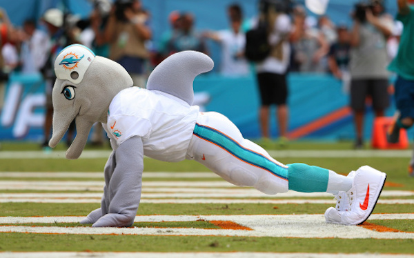 Estas son las 10 mejores mascotas de la NFL - Sopitas.com