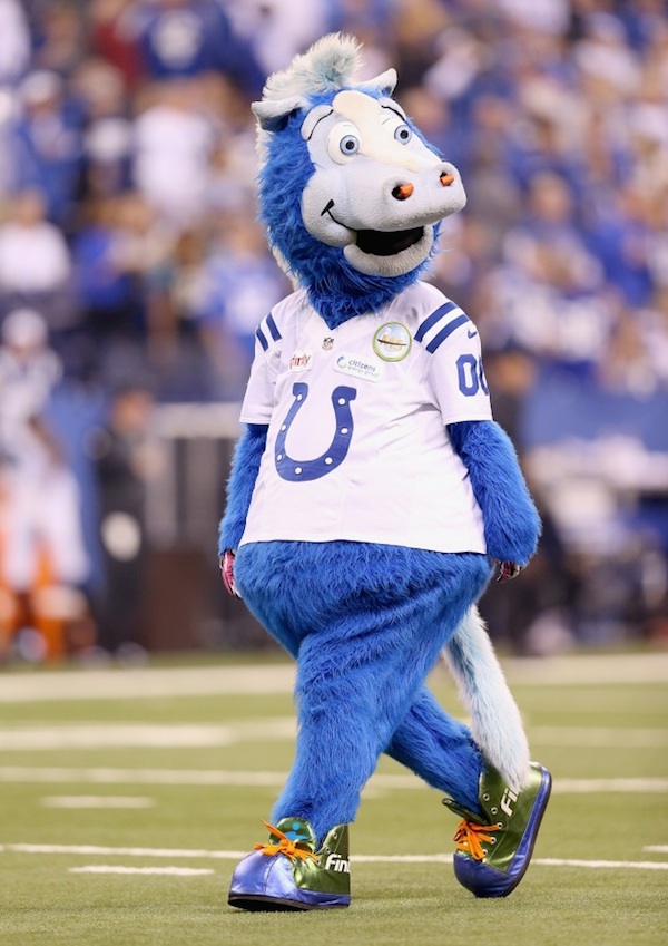 Estas son las 10 mejores mascotas de la NFL - Sopitas.com