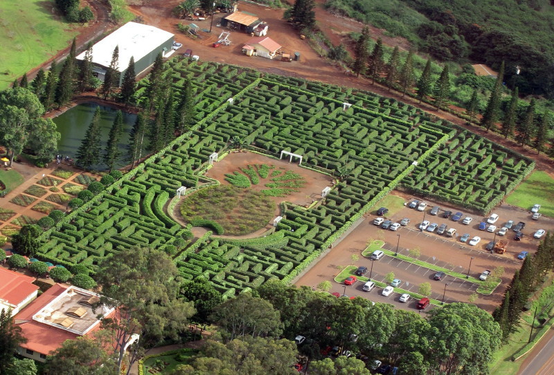 Cinco laberintos naturales en los que no te gustaría perderte