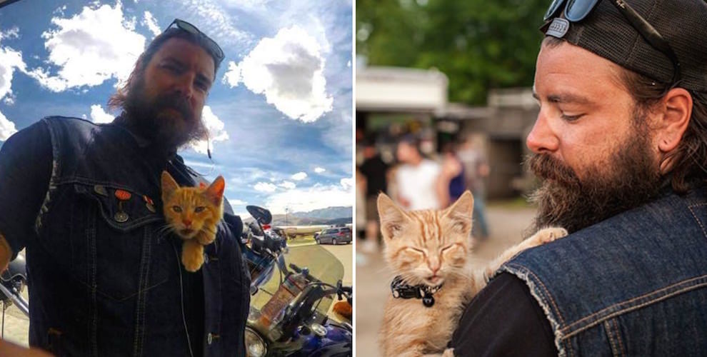Rudo motociclista rescata gatito lastimado y lo lleva de paseo por todo ...