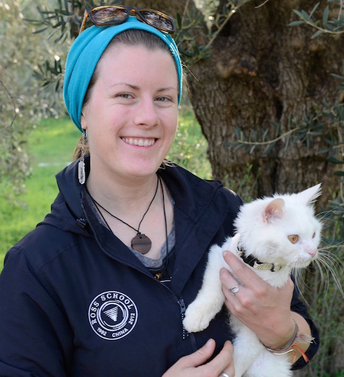 La historia de Kunkush, el gato refugiado - Sopitas.com