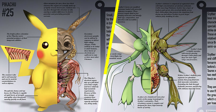 Conviértanse en Maestros Pokémon con este libro de anatomía - Sopitas.com