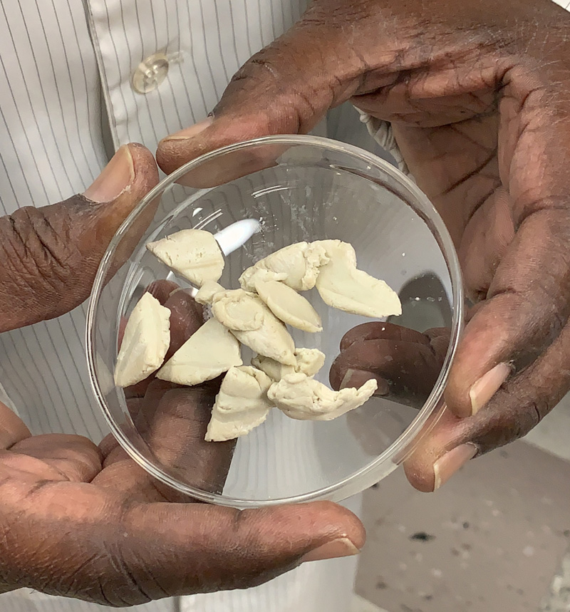 Así es como un chicle masticado, puede cambiar al mundo | Sopitas.com