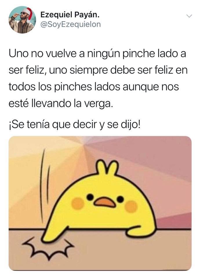 La historia detrás del meme: ¿De dónde viene el pollito de “se tenía ...