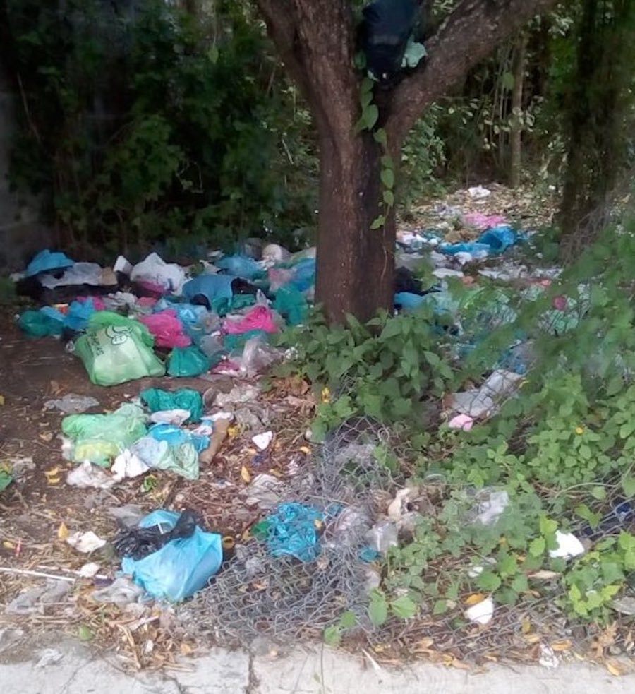 Lerdo de Tejada, Veracruz, registra más casos de dengue, ante ...