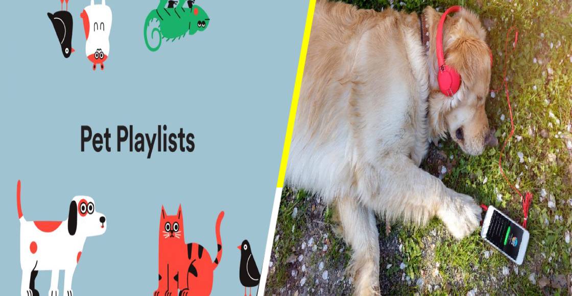 Spotify Pets, la nueva función de música para tus mascotas
