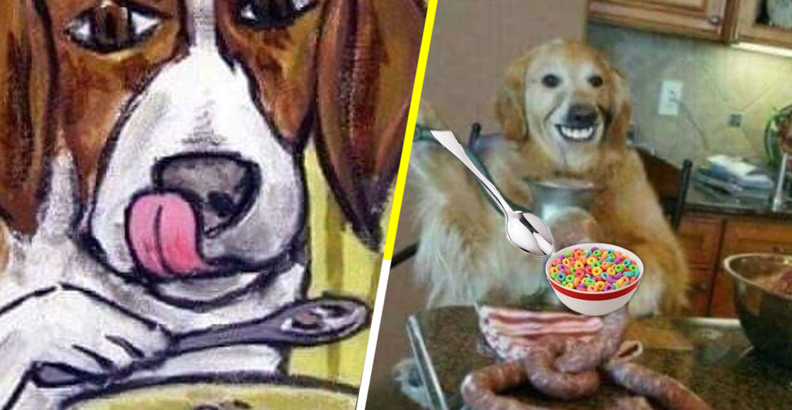 Esto se sabe sobre la historia del perro que come cereal con cuchara (acompañado de algunos memes)