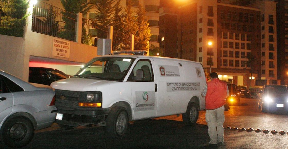 ¿Cómo se dio el caso Paulette? Esta es la cronología con los hechos más ...