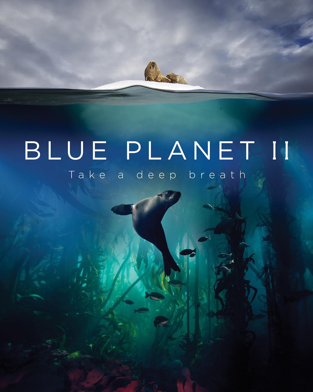 ¡David Attenborough y Hans Zimmer se juntan en el nuevo documental de ...