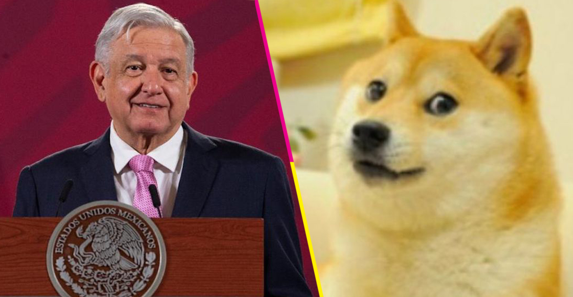 AMLO compara a personas con mascotas a propósito de dicho chino