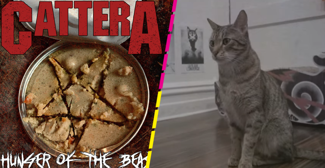Maullido metalero: Conoce a Cattera, el proyecto musical que tiene a un ...
