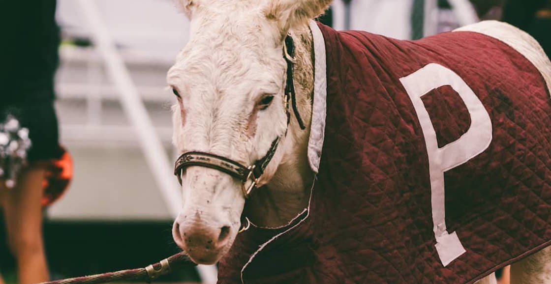 Aprovechando el Día del IPN... ¿por qué tienen un burro de mascota?