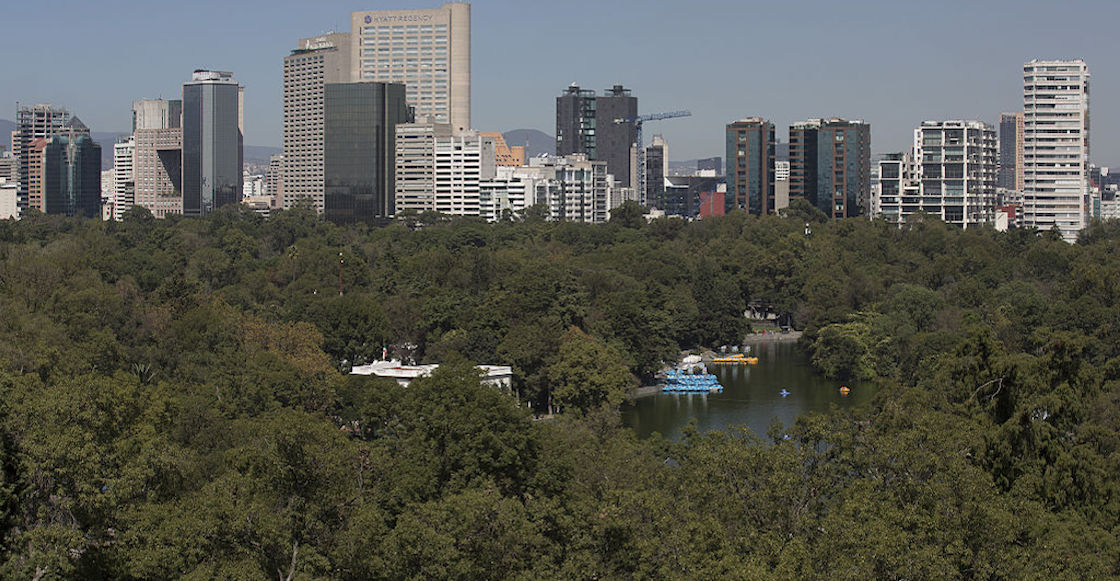Un lugar más para el picnic: Abrirán la Cuarta Sección del Bosque de ...