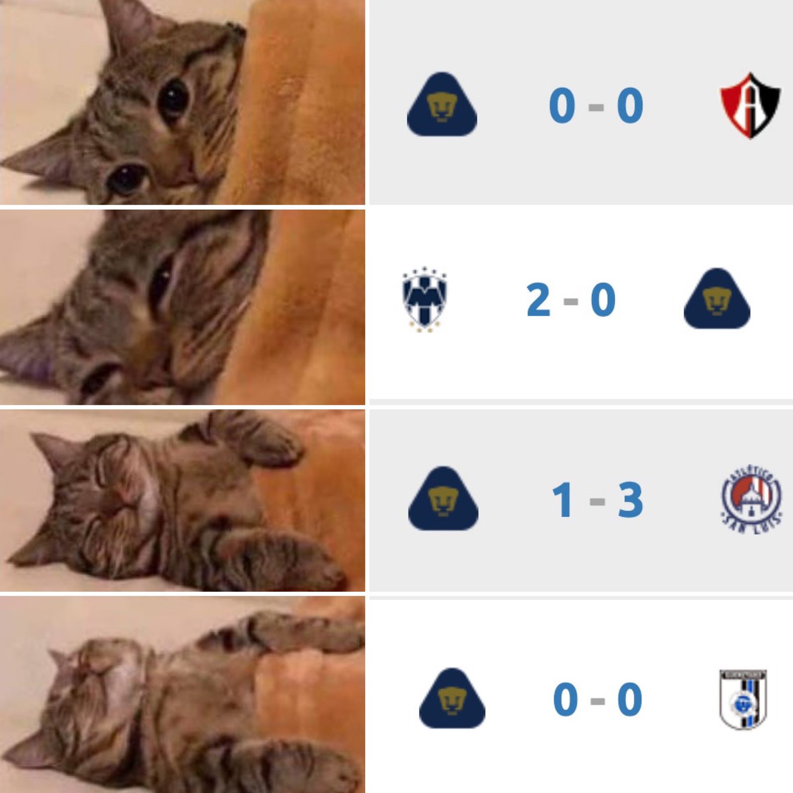 Los memes de la temporadita que se están aventando los Pumas