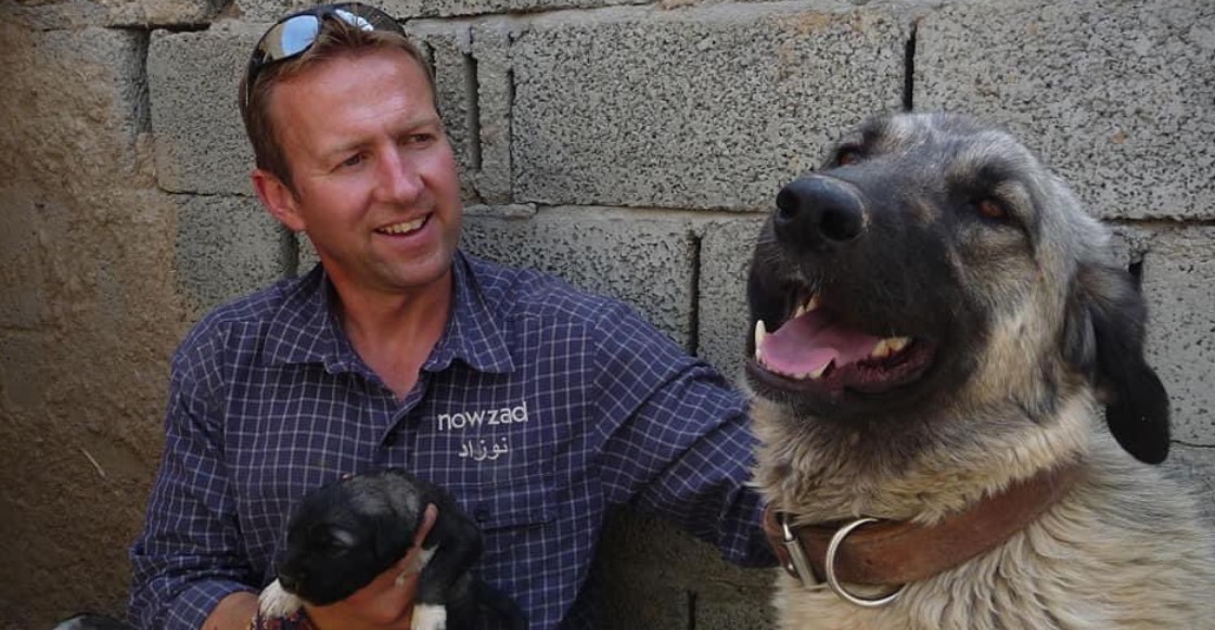 Paul Farthing: El hombre que intenta rescatar a 200 perros y gatos de ...