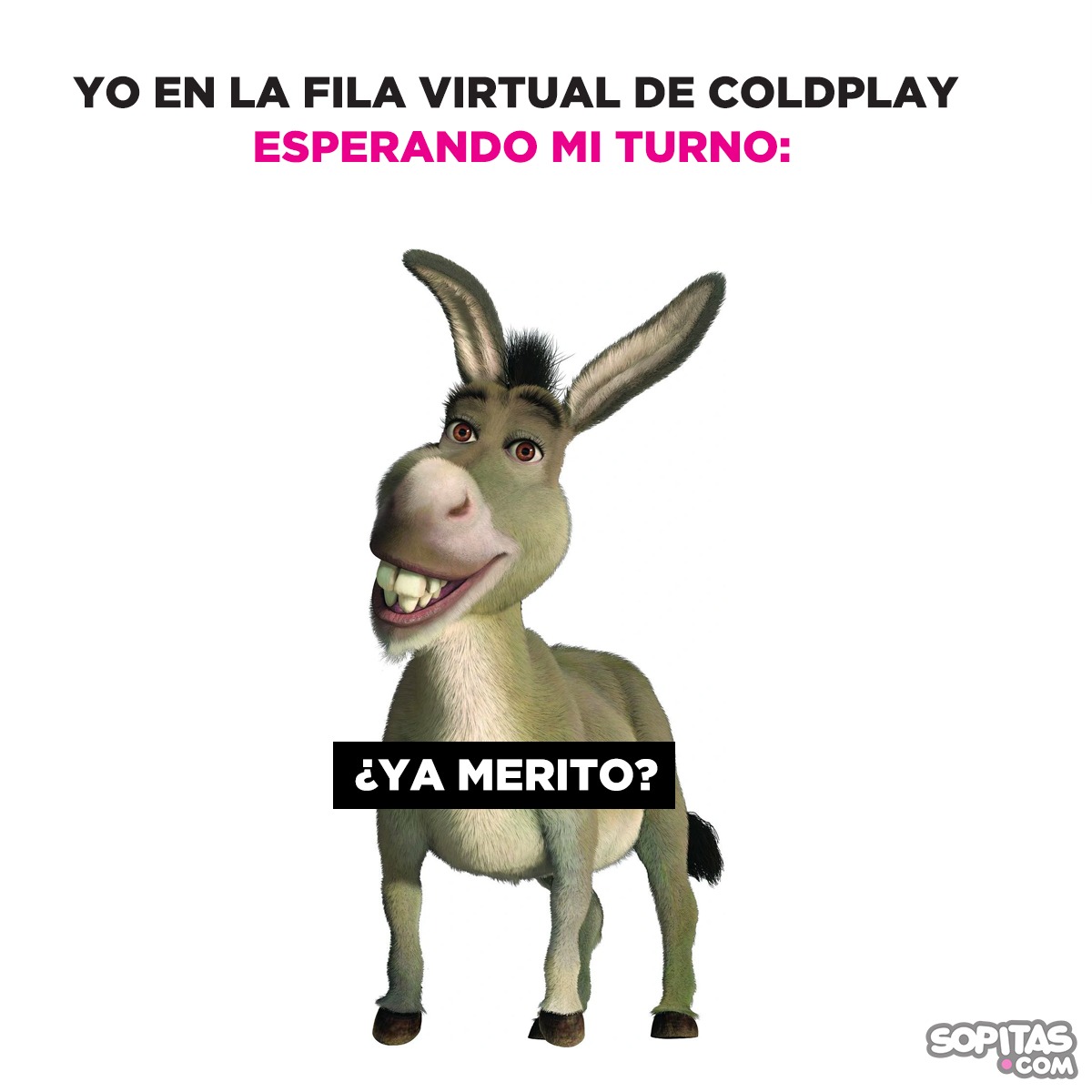 Los boletos para Coldplay volaron y los memes de la preventa lo comprueban