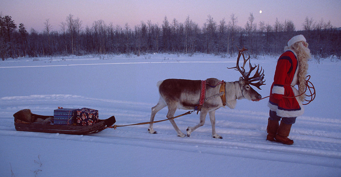 ¿Sabías que probablemente los renos de Santa Claus son hembras?