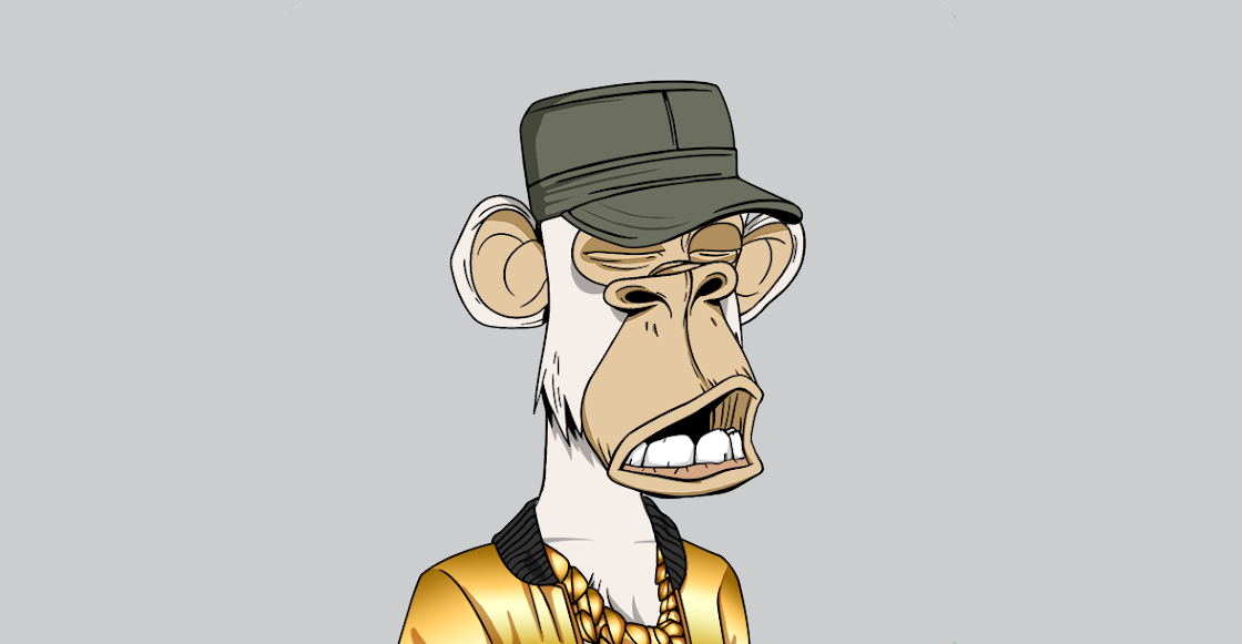 ¡Changos! El fervor por los Bored Apes y el lado oscuro de los NFT