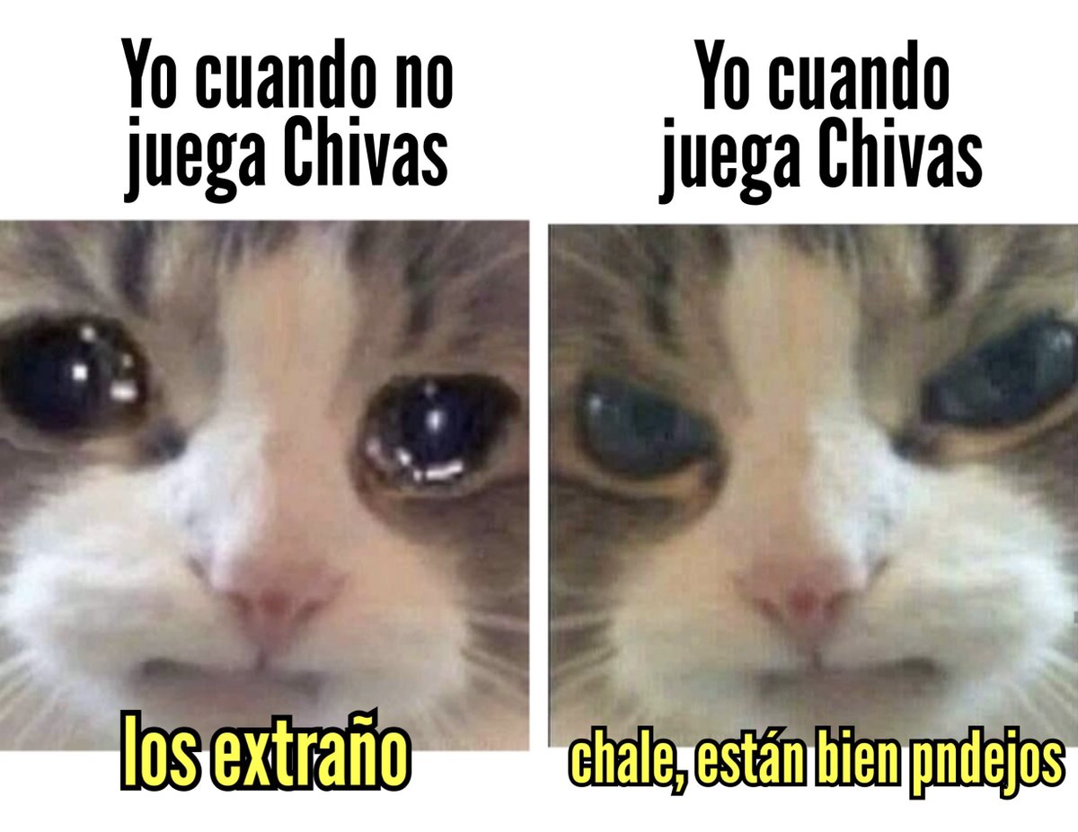 Revolución poblana, burlas de Martinoli al América y memes de la Liga MX