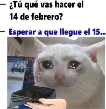Acá les dejamos los mejores memes del 14 de febrero