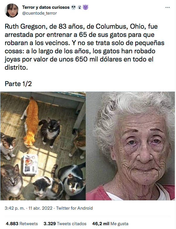 ¿Michis encarcelados? La verdad detrás de la mujer detenida por ...