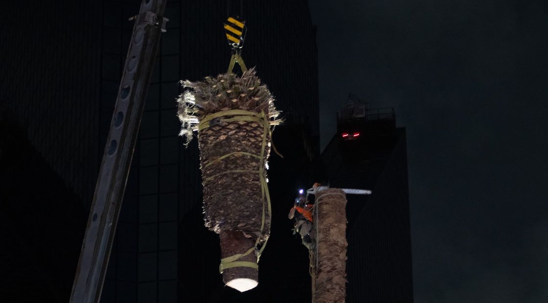 Glorietas del Ahuehuete y Cristóbal Colón en Paseo de la Reforma