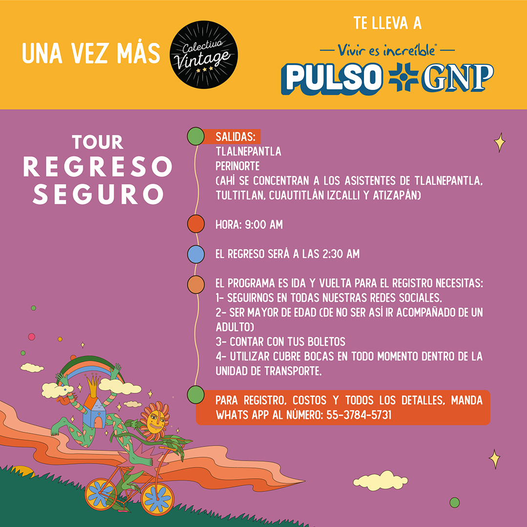 Esto es todo lo que debes saber para lanzarte a Pulso GNP 2022