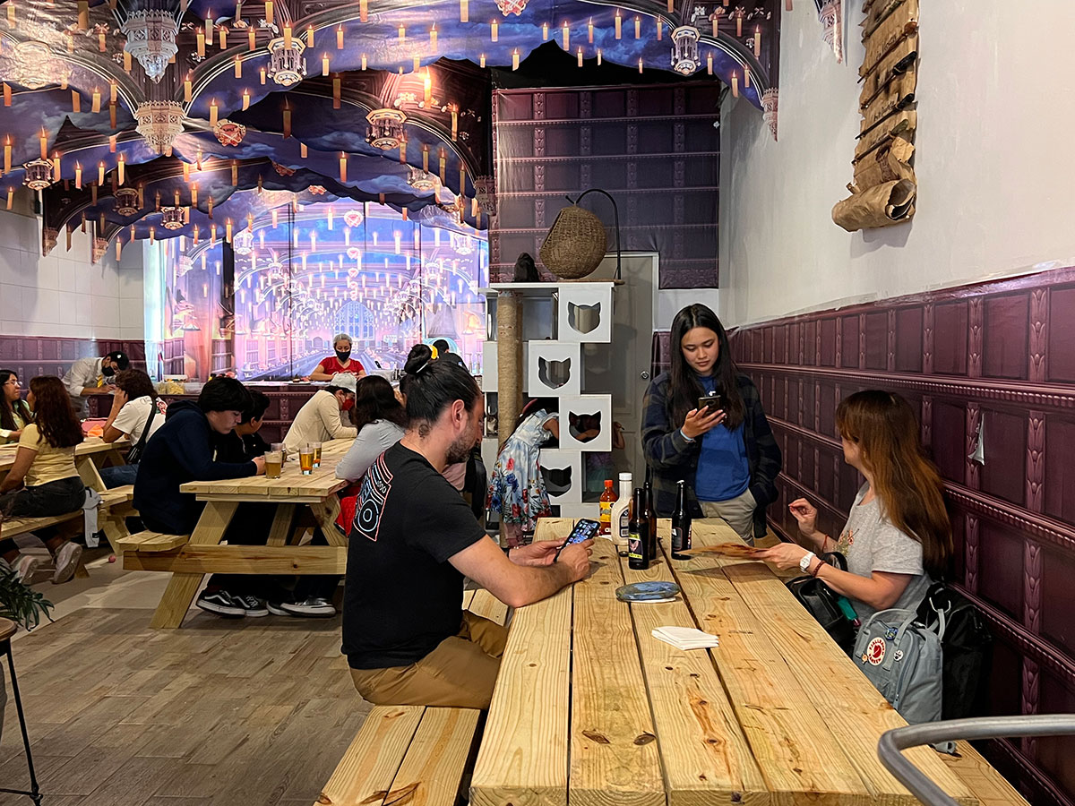 'Catfecito': La cafetería en CDMX que todos los amantes de los gatos ...