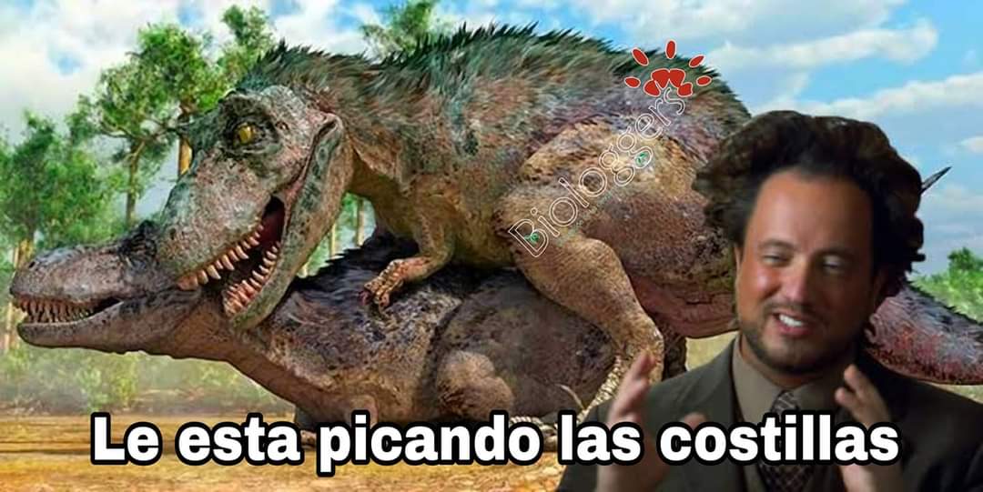 La historia detrás del meme: El piquete de costillas en el trabajo