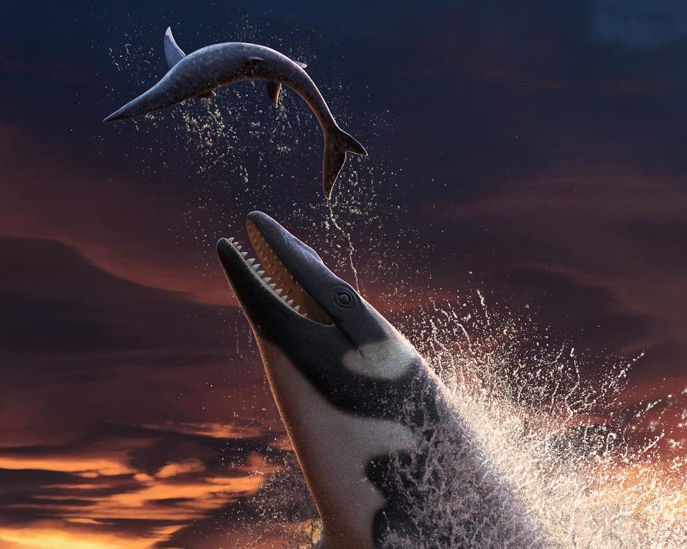 Este es el Thalassotitan atrox, un reptil marino gigante que vivió hace ...