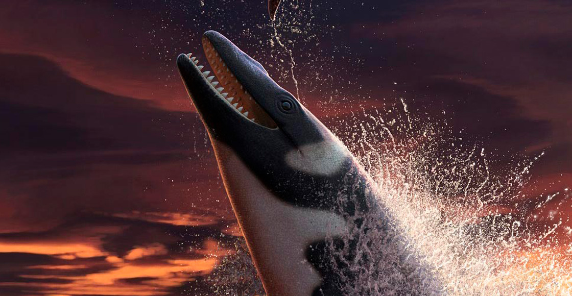 Este es el Thalassotitan atrox, un reptil marino gigante que vivió hace ...