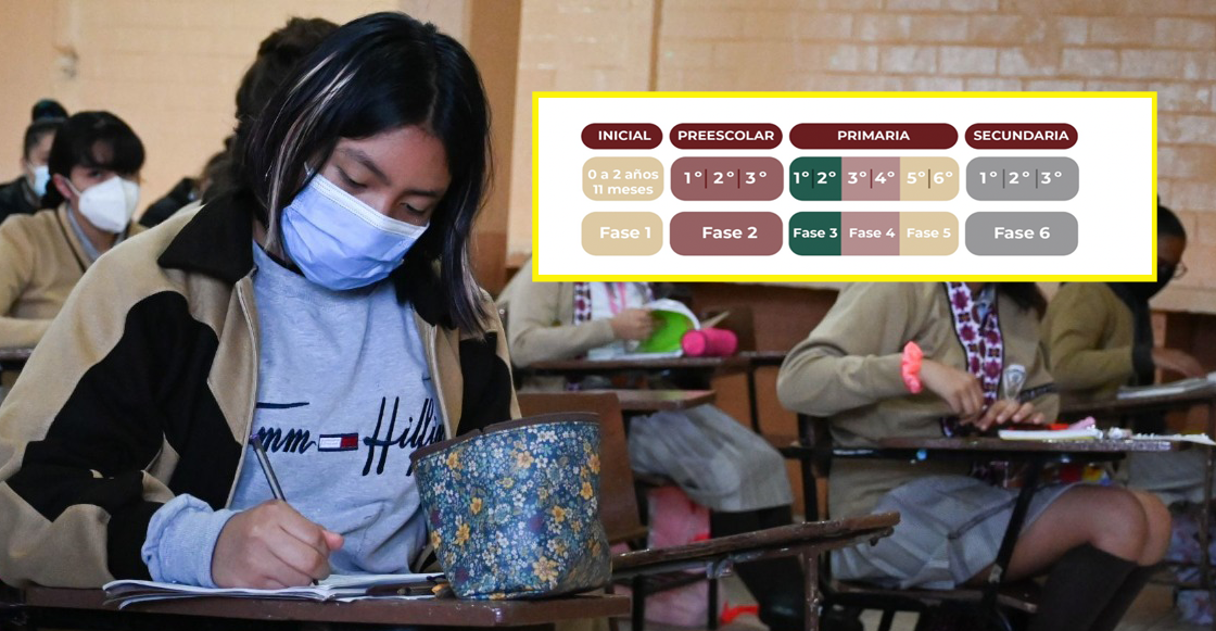 ¿Cómo está eso de que la SEP movió los grados de primaria y ahora se ...