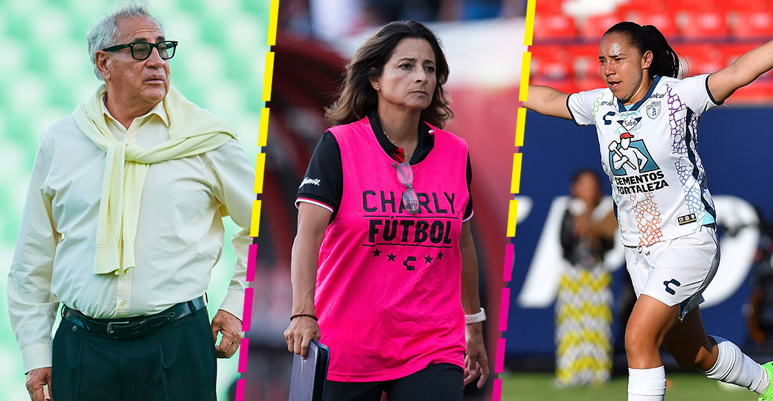 Andrea Rodebaugh, crítica del proyecto sin estructura de Leonardo ...