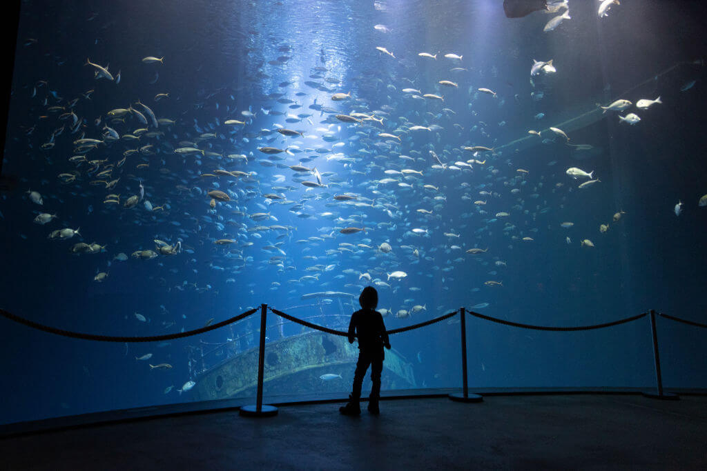 Barco Utopía: el asombroso nuevo museo-acuario-parque de Iztapalapa
