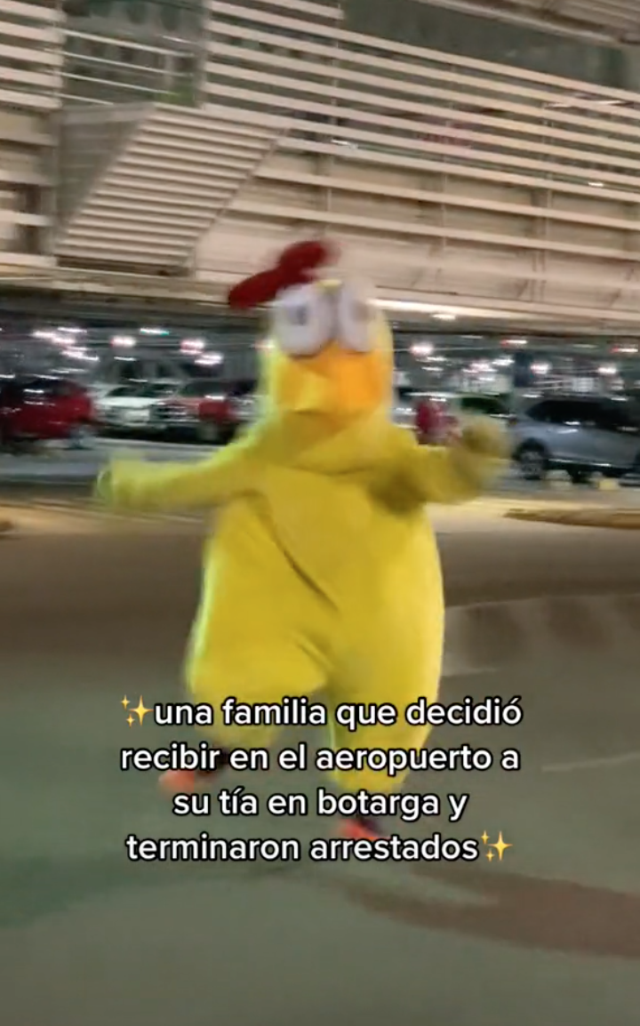 Como cuando recibes a tu tía en el aeropuerto con una botarga y ...