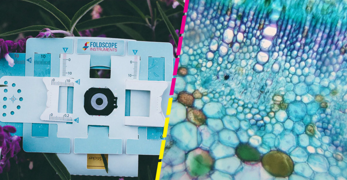 Foldscope: El microscopio de papel que cuesta poco más de un dólar