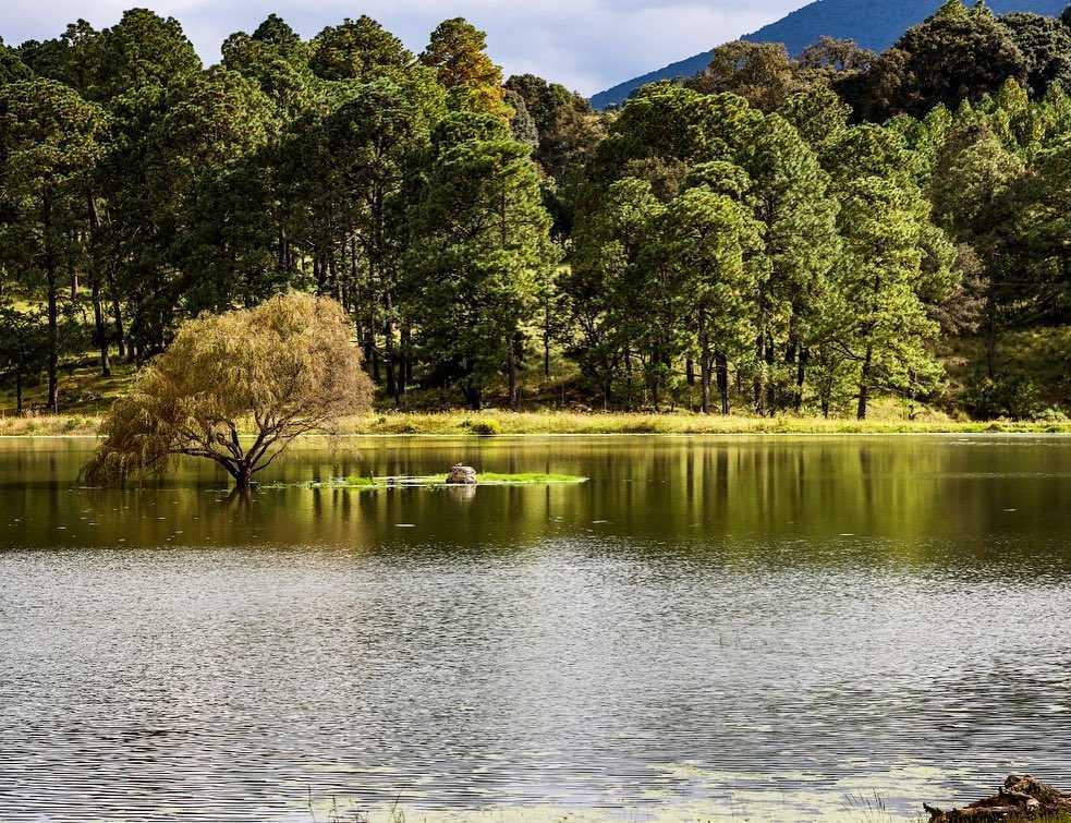 Parque El Ocotal: El 'pulmón verde' cerca de CDMX que debes conocer