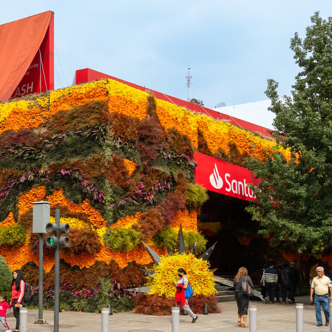 Robo o regalo: ¿Qué pasó con las flores del festival en Polanco?