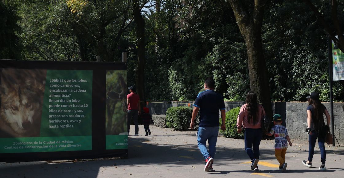 Las siete monedas por los 100 años del Zoológico de Chapultepec