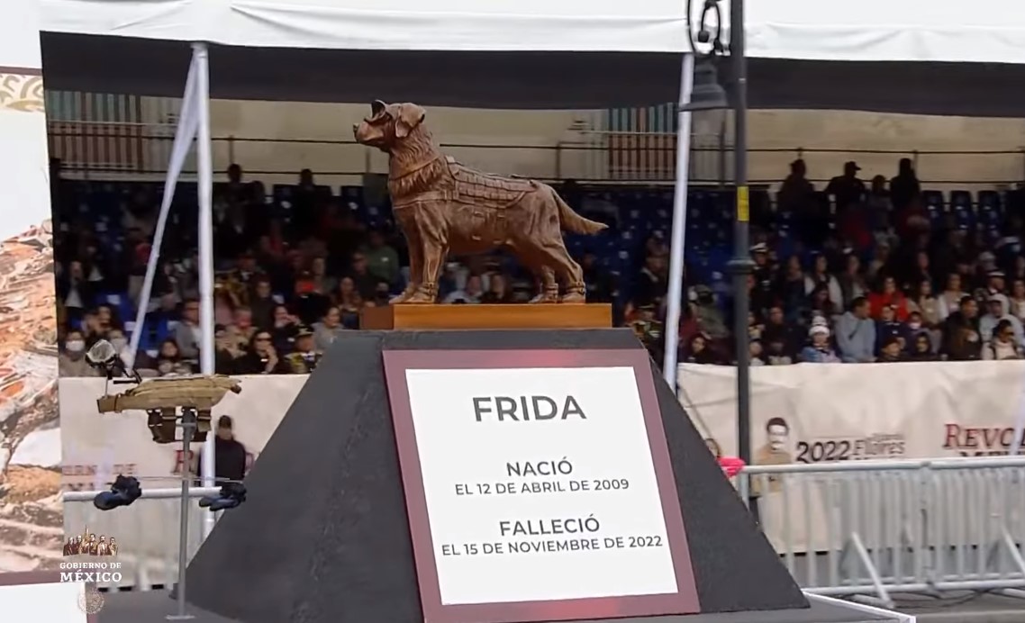 El homenaje a Frida, la perrita rescatista, en el Desfile de la ...