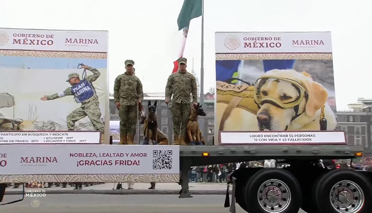 El homenaje a Frida, la perrita rescatista, en el Desfile de la ...