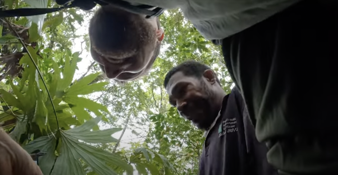 El video del día: Vean la emoción de un científico que encuentra un ave ...