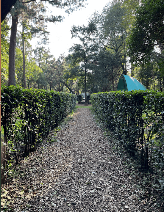 Esta es la historia de los Viveros de Coyoacán que vale la pena conocer