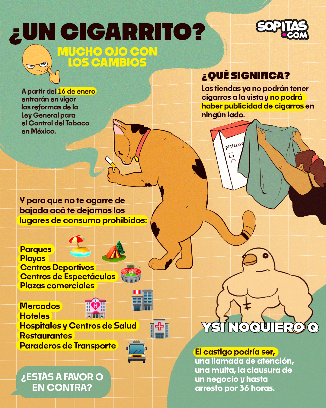 ¿En tu balcón? ¿El coche? ¿Usas vape? Respondemos preguntas frecuentes ...