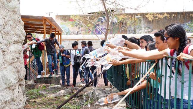 Ahuelito: El asombroso ahuehete de mil 500 años en Oaxaca