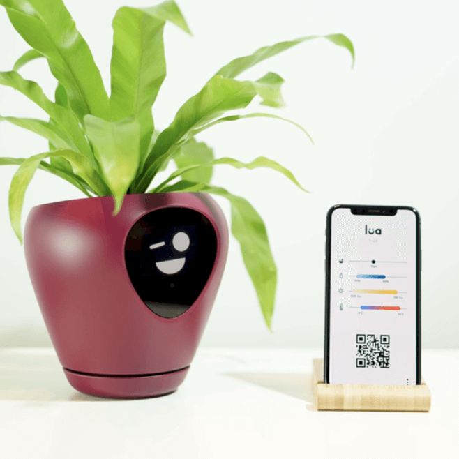 LUA, la maceta inteligente que nos permite hablar con nuestras plantas